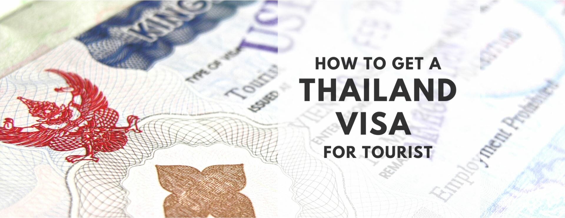 How to get a Thailand Visa for Indians | The Stupid Bear