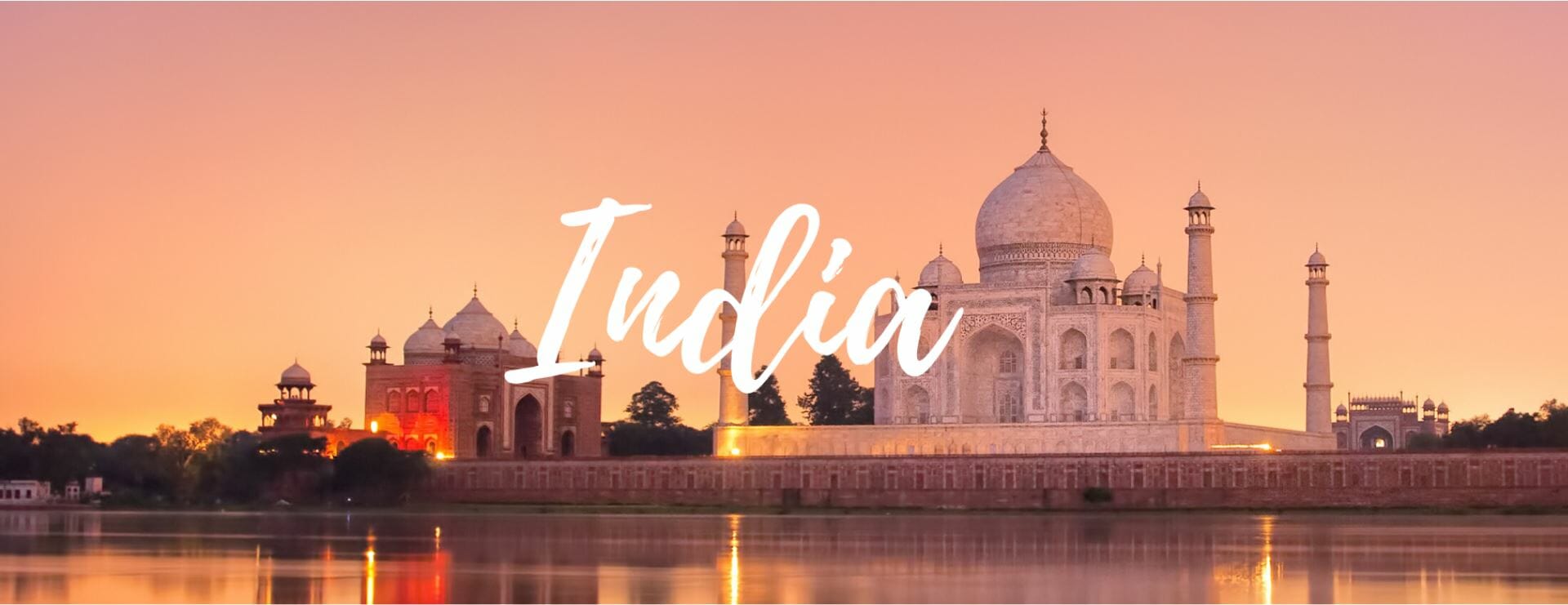 India | The Stupid Bear