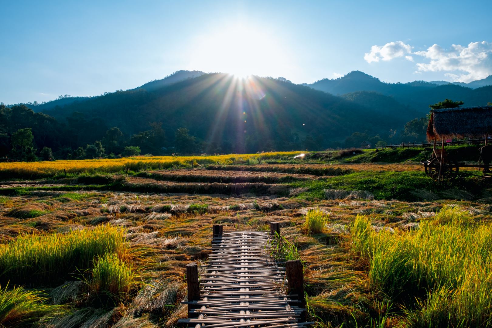 A Thorough Handbook to visiting Pai, Thailand - The Stupid Bear