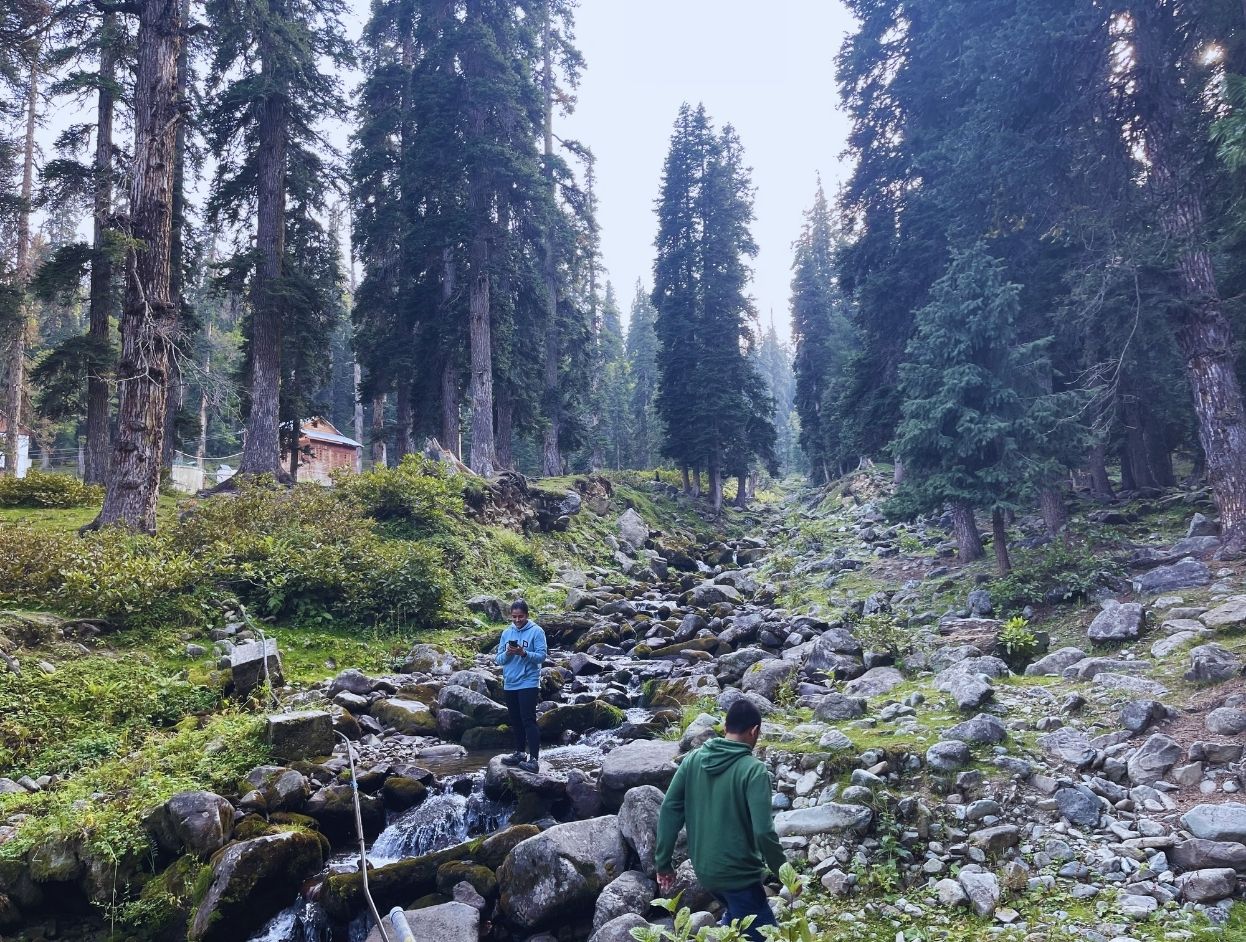 Best Places to visit in Gulmarg, Kashmir - The Stupid Bear