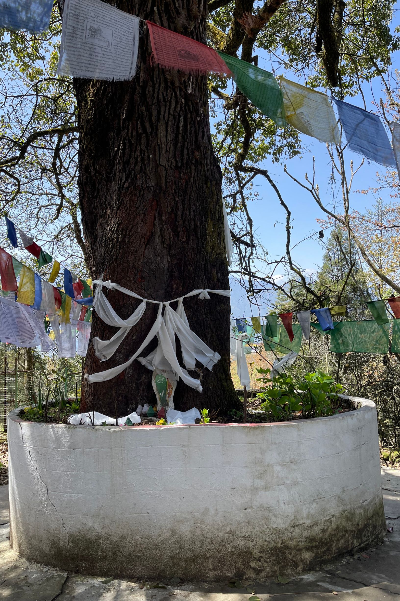 The Best Places to visit in Tawang, Arunachal Pradesh - The Stupid Bear