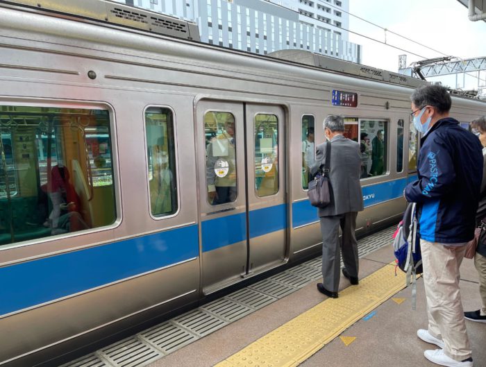 Hakone Day Trip Travel Itinerary from Tokyo - The Stupid Bear