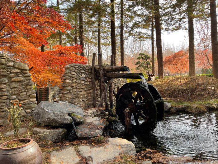 A Complete Guide on Nami Island Day Tour from Seoul - The Stupid Bear