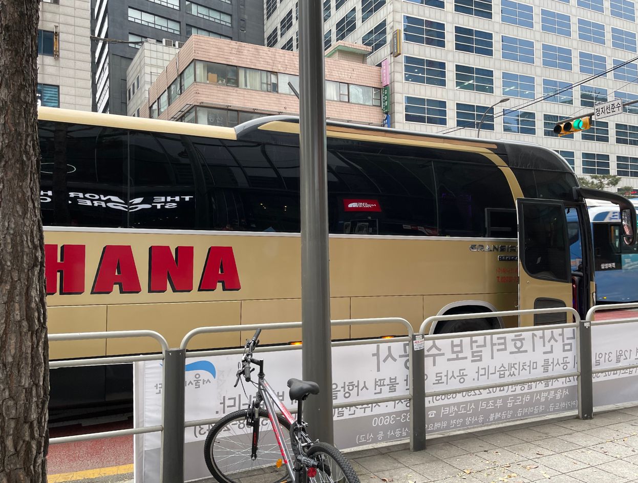 A Complete Guide on Nami Island Day Tour from Seoul - The Stupid Bear